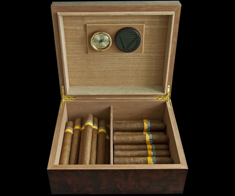 The Vaults - Vicente Blends